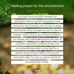 Healing prayer for the environment