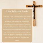 Prayer before the Crucifix