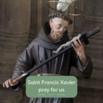 Saint Francis Xavier: A Detailed Look at the Life and Legacy of the ...