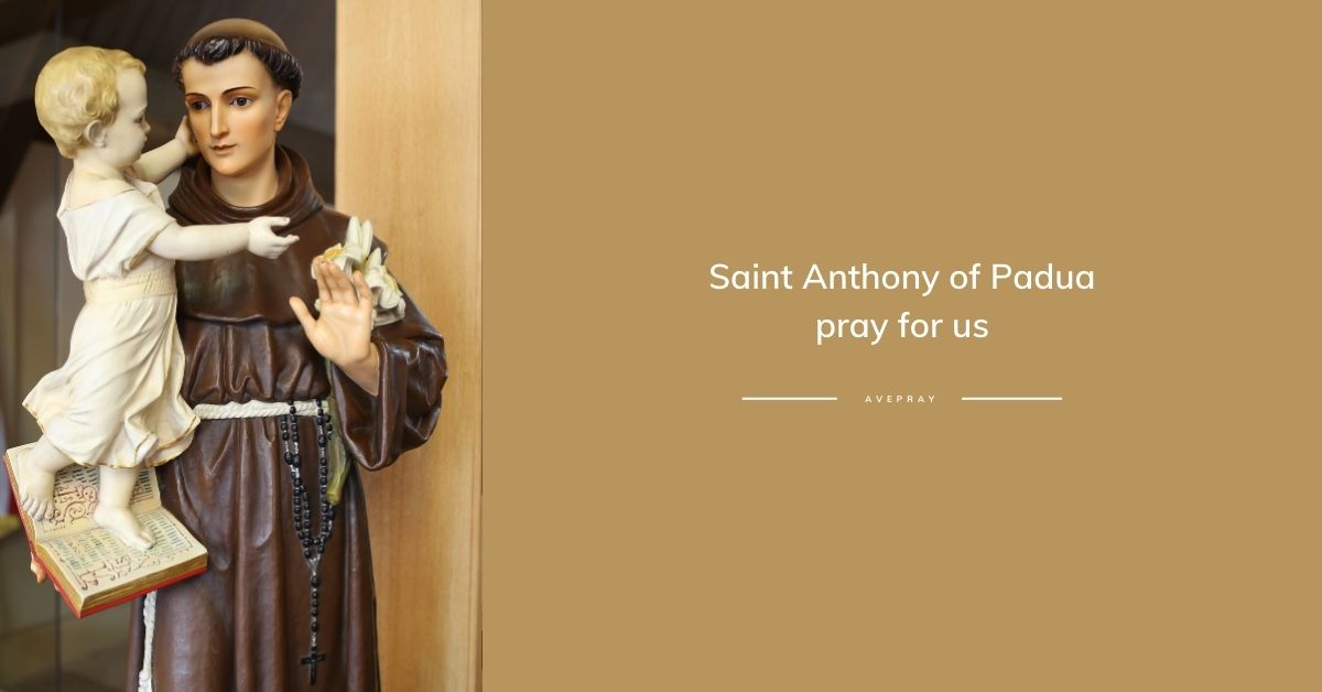 Saint Anthony of Padua: Remarkable Life and Miracles – AvePray