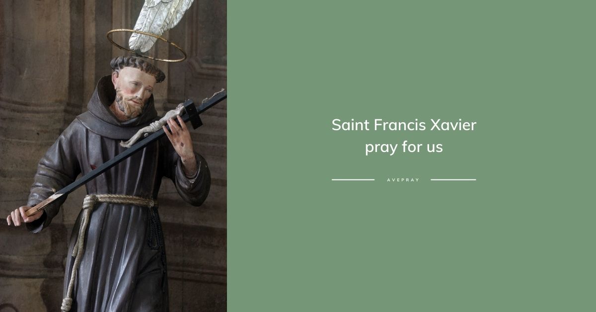 Saint Francis Xavier: A Detailed Look at the Life and Legacy of the ...