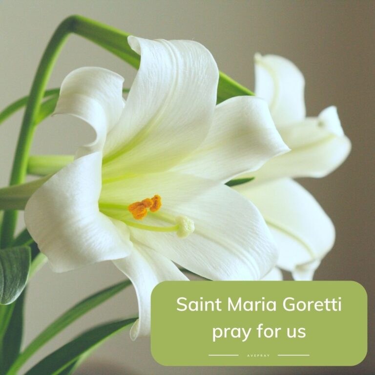 Saint Maria Goretti: A Life of Purity and Forgiveness – AvePray